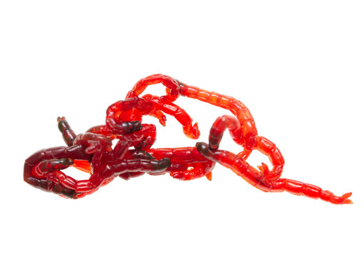 「Anguine」の写真素材 | 975件の無料イラスト画像 | Adobe Stock