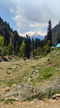 Chandan Images – Browse 1,360 Stock Photos, Vectors, and Video | Adobe ...