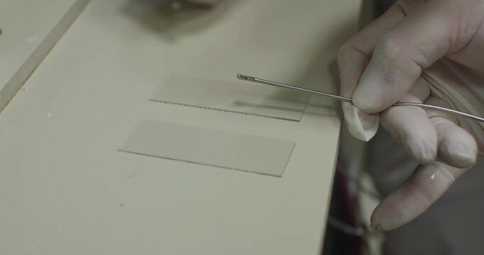 Histology Technician Images – Browse 468 Stock Photos, Vectors, and ...