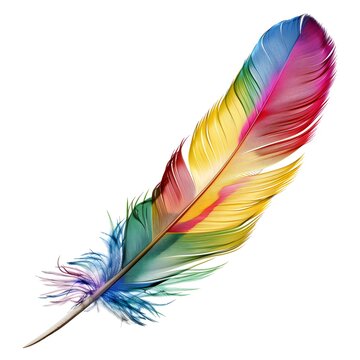 "Rainbow Feather" Images – Browse 123 Stock Photos, Vectors, and Video ...