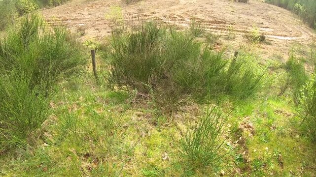 "Hoge " Images – Browse 4,008 Stock Photos, Vectors, and Video | Adobe ...