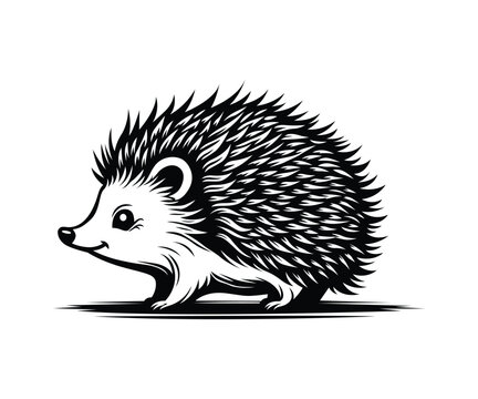 "Hedgehog Vector" Images – Browse 613 Stock Photos, Vectors, and Video ...