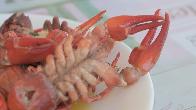 "Signal Crayfish" Images – Browse 301 Stock Photos, Vectors, and Video ...