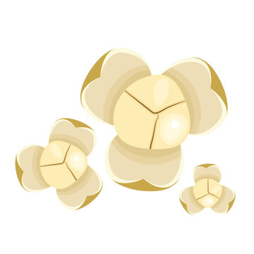 รูปภาพRumdul – เลือกดูภาพถ่ายสต็อก เวกเตอร์ และวิดีโอ499 | Adobe Stock