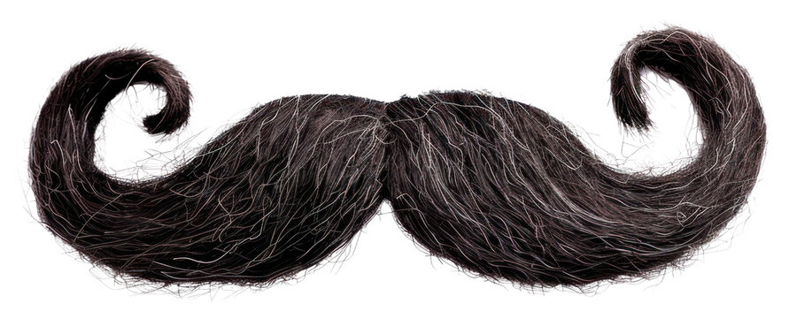 Imágenes de "Fake Mustache": descubre bancos de fotos, ilustraciones ...