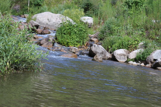 「Ruver」の写真素材 | 98件の無料イラスト画像 | Adobe Stock