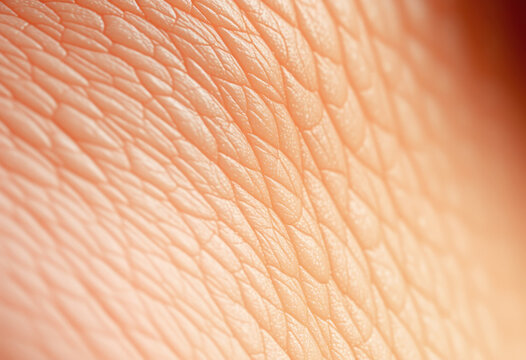 "Skin Pores" Images – Browse 890 Stock Photos, Vectors, and Video ...