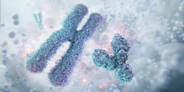 รูปภาพAutosome – เลือกดูภาพถ่ายสต็อก เวกเตอร์ และวิดีโอ511 | Adobe Stock