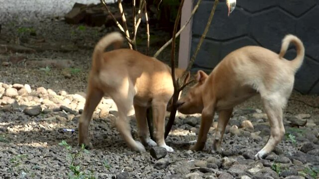 Kutta Images – Browse 138 Stock Photos, Vectors, and Video | Adobe Stock