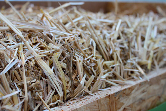 "Shredded Wood" Images – Browse 79 Stock Photos, Vectors, and Video ...