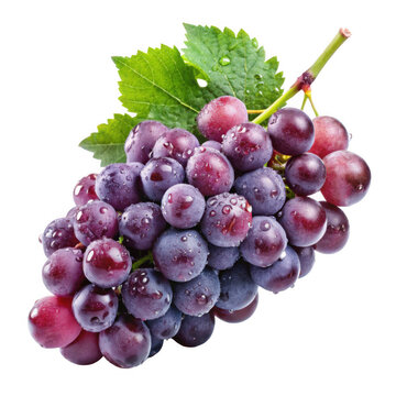 "Bunch Of Grapes" Images – Browse 48,670 Stock Photos, Vectors, and ...