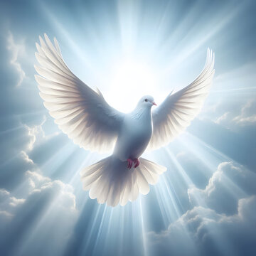 "Holy Spirit Dove" Images – Browse 419 Stock Photos, Vectors, and Video ...