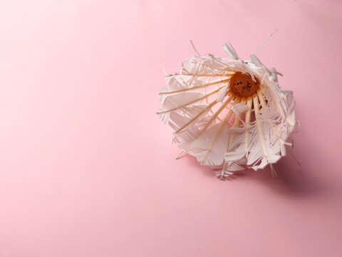 Shuttercock Images – Browse 61 Stock Photos, Vectors, and Video | Adobe ...