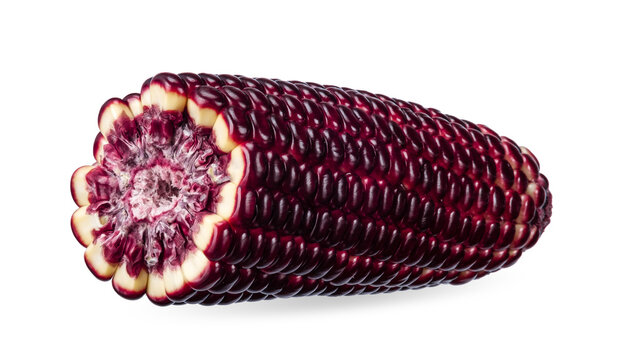 "Purple Corn Images – Browse 23,042 Stock Photos, Vectors, and Video ...