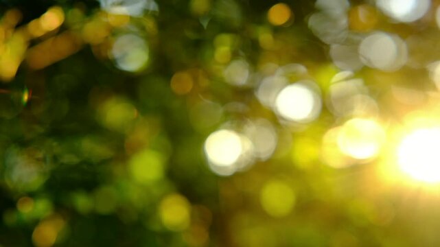 Green Overlay Images – Browse 136,117 Stock Photos, Vectors, and Video ...
