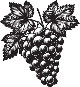 Simple Grapes Outline