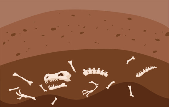 Cartoon Fossils Underground Images – Browse 1,324 Stock Photos, Vectors ...