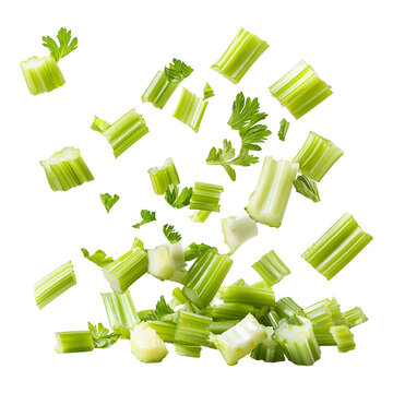 Chopped Celery Images – Browse 18,049 Stock Photos, Vectors, and Video ...