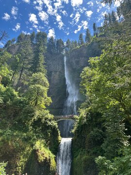 "Multnomah Falls" Images – Browse 2,452 Stock Photos, Vectors, and ...