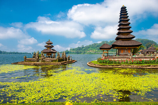 รูปภาพ"Pura – เลือกดูภาพถ่ายสต็อก เวกเตอร์ และวิดีโอ32,762 | Adobe Stock