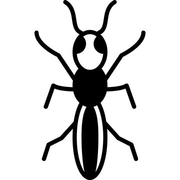 Imágenes de "Bullet Ant": descubre bancos de fotos, ilustraciones ...