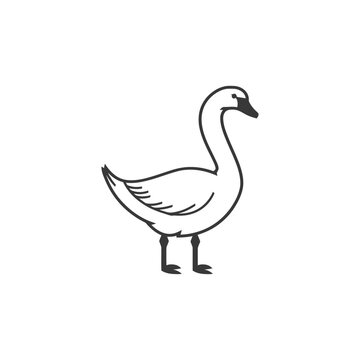 Goose Line Drawing Images – Browse 14,587 Stock Photos, Vectors, and ...