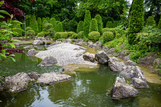 "Bonner - Images et vidéos libres de droits | Adobe Stock