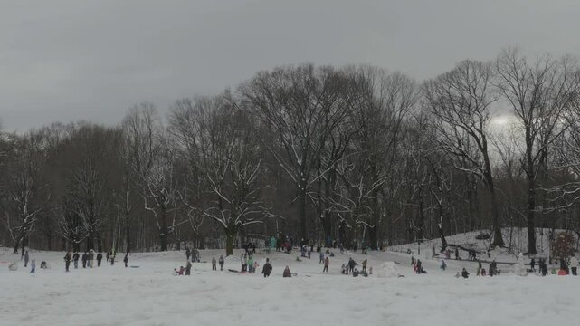 "Snow Day" - Images et vidéos libres de droits | Adobe Stock