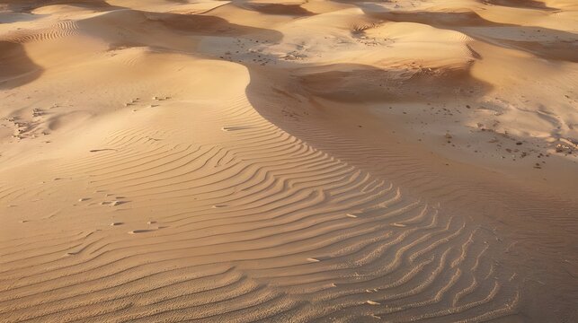 "Sand Texture Seamless" Images – Browse 11 Stock Photos, Vectors, and ...