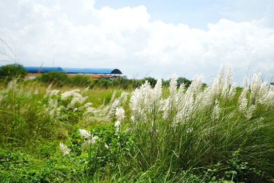 Kashful Images – Browse 412 Stock Photos, Vectors, and Video | Adobe Stock