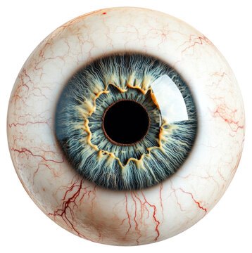 Realistic Eye Texture