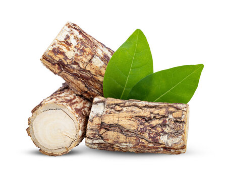 รูปภาพThanakha – เลือกดูภาพถ่ายสต็อก เวกเตอร์ และวิดีโอ1,010 | Adobe Stock