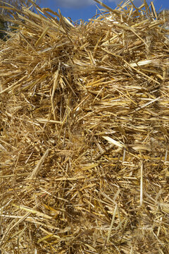 "Hay Background" Images – Browse 395 Stock Photos, Vectors, and Video ...