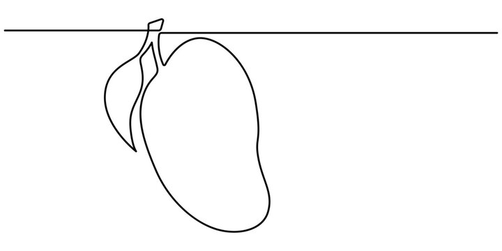 Mango Line Drawing Images – Browse 8,192 Stock Photos, Vectors, and ...