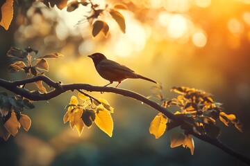 Free Desktop Cozy Fall Wallpaper