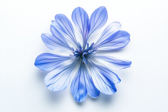 "Simple Flower" Images – Browse 3,292 Stock Photos, Vectors, and Video ...