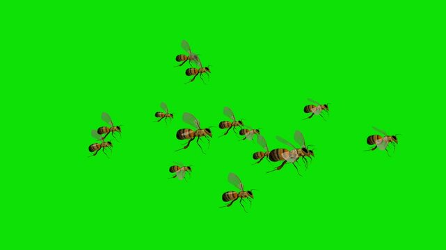 Realistic Green Screen Backgrounds Images – Browse 130,388 Stock Photos ...