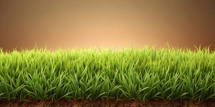 Dead Grass Texture Images – Browse 18,659 Stock Photos, Vectors, and ...