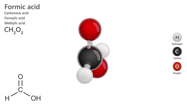 Formic Images – Browse 1,342 Stock Photos, Vectors, and Video | Adobe Stock