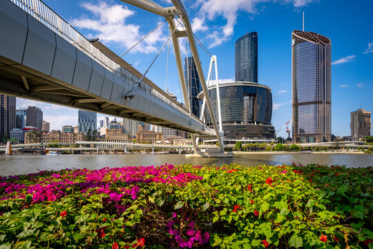 "Bonner - Images et vidéos libres de droits | Adobe Stock