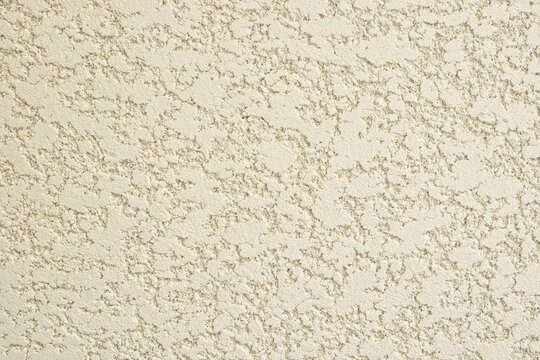 「Crepidoma」の写真素材 | 970件の無料イラスト画像 | Adobe Stock