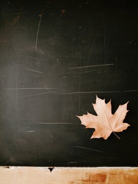 "Chalk Outline" Images – Browse 1,105 Stock Photos, Vectors, and Video ...