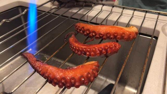 Octopus Legs"」の写真素材 | 79件の無料イラスト画像 | Adobe Stock