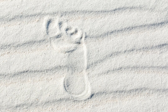 "Human Footprint" Images – Browse 1,130 Stock Photos, Vectors, and ...