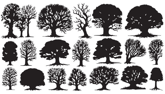 Oak Tree Clip Art Black
