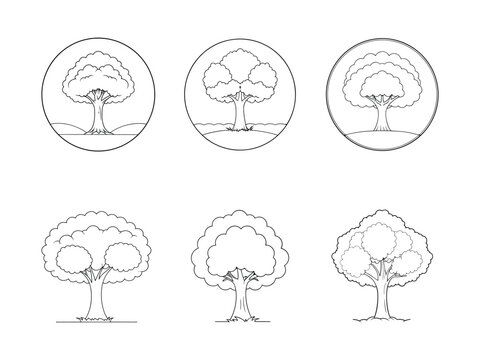 "Tule Tree" Imagens – Procure 555 fotos, vetores e vídeos | Adobe Stock