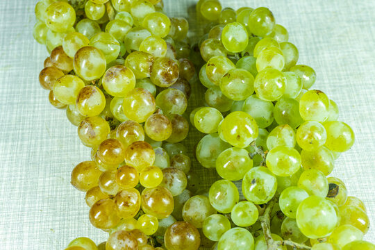 「固める」の写真素材 | 4,310,065件の無料イラスト画像 | Adobe Stock