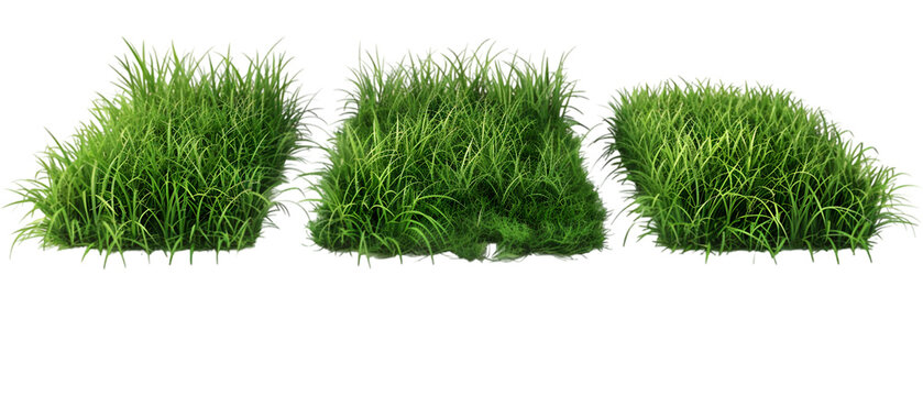 "Fake Grass" Images – Browse 902 Stock Photos, Vectors, and Video ...
