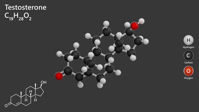 รูปภาพAnabolics – เลือกดูภาพถ่ายสต็อก เวกเตอร์ และวิดีโอ16,440 | Adobe ...