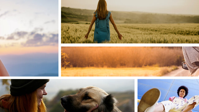 Animals stock photos, royalty-free images, vectors, video | Adobe Stock